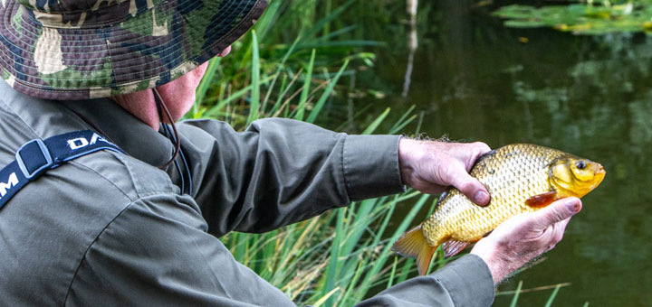 Jon Arthur – Jon Arthur's little corner of the web